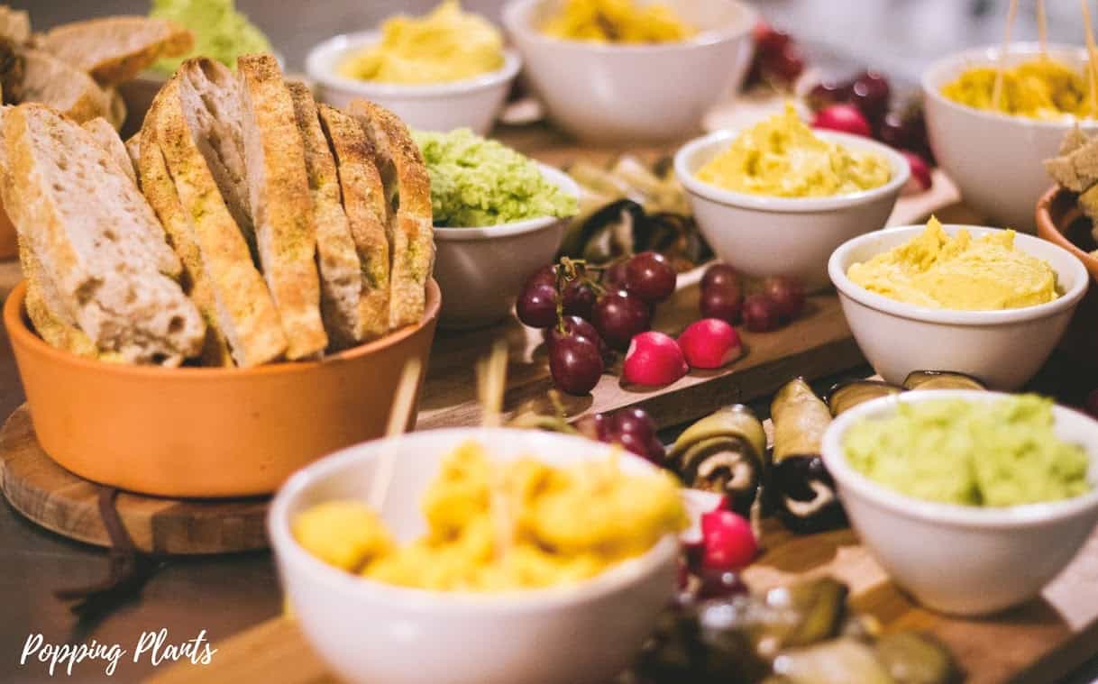 Popping Plants – Baking Lab Amsterdam