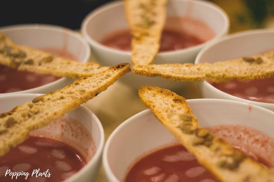 Popping Plants – Baking Lab Amsterdam