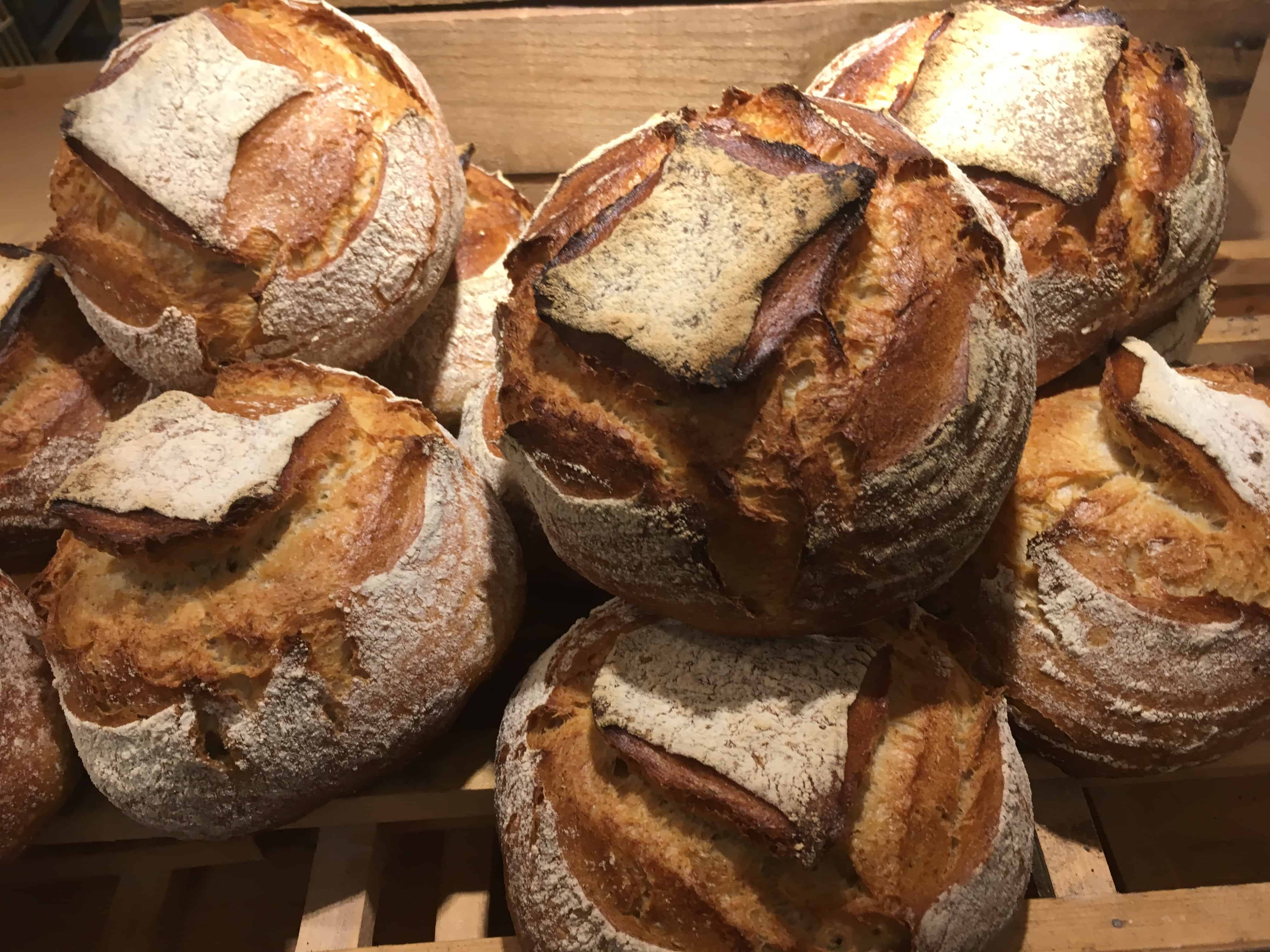 Zuurdesembrood voor beginners & Gevorderden en hergebruik oud brood ...