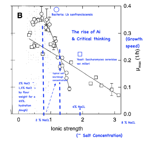AI with a pinch of salt – Baking Lab Amsterdam